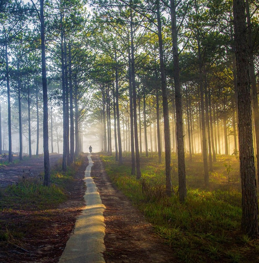Deflection Training | OHSU